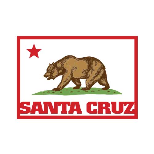 Santa Cruz Flag Sticker - Life At Sea by Tim Ward – Life At Sea Co