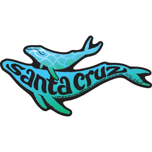 Santa Cruz Whale Sticker - Life At Sea by Tim Ward – Life At Sea Co