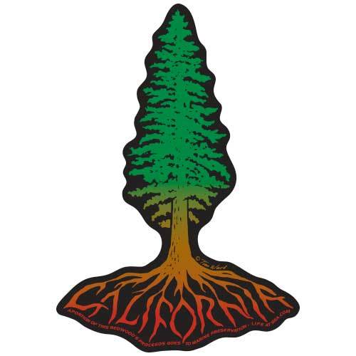 California Redwood Roots Sticker - Life At Sea by Tim Ward – Life At Sea Co